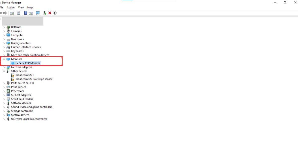 What Monitor Do I Have? Check All You Need to Know